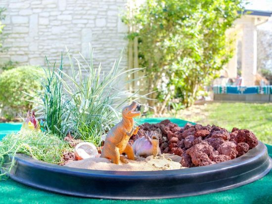 Fossil Activities for Kids - Complete Guides and Instructions ...