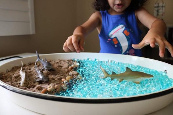 Fossil Activities for Kids - Complete Guides and Instructions ...